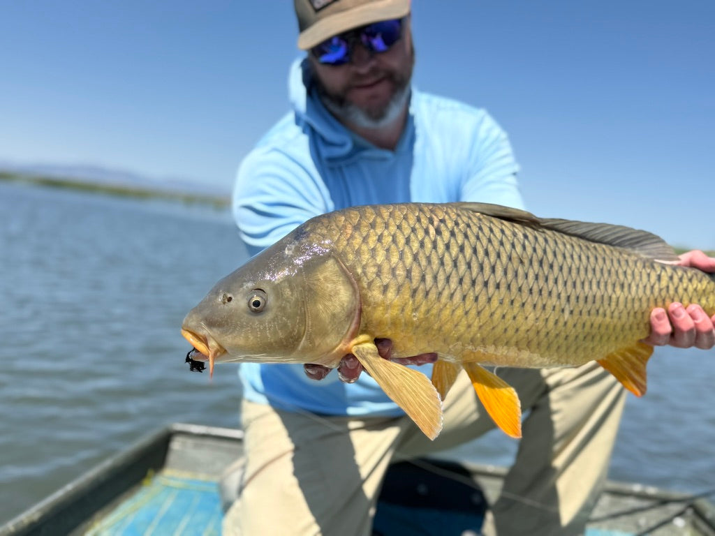 Ryan Mock's Carp Bundle – BlueLineCo.