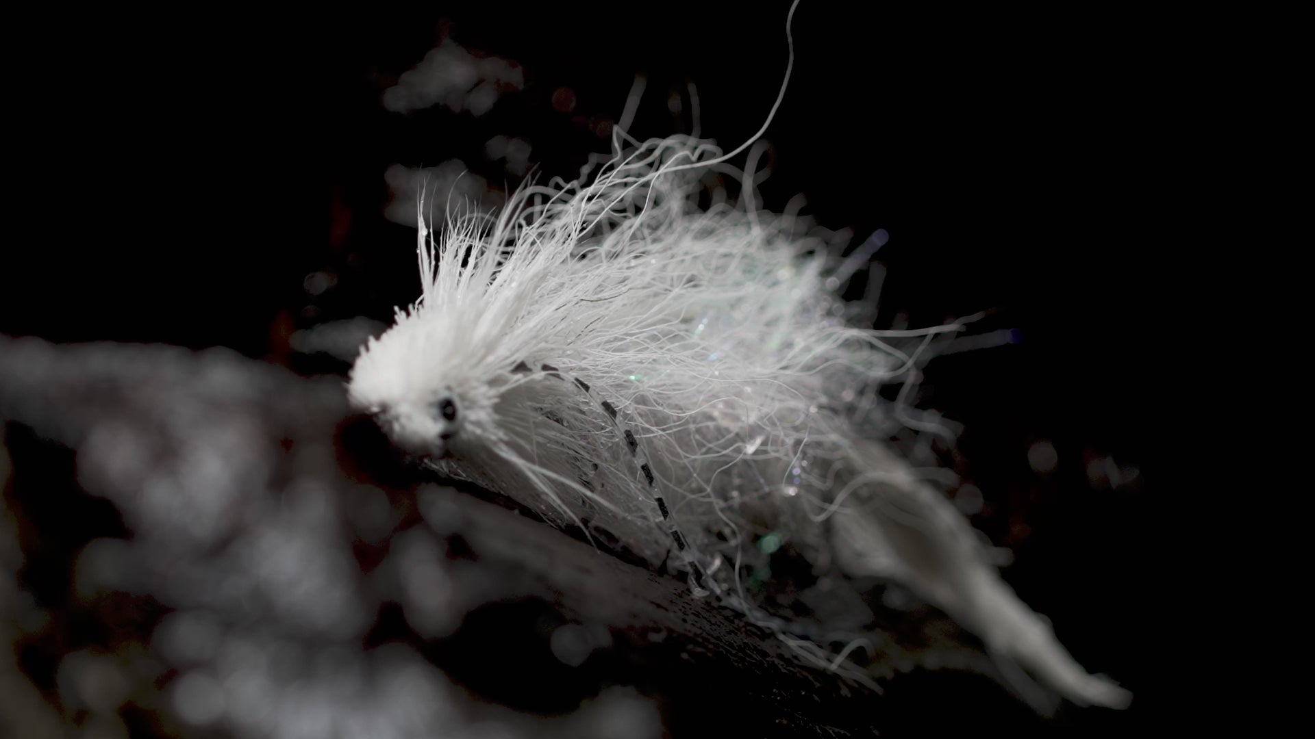 Blue Line Co – BlueLineCo.