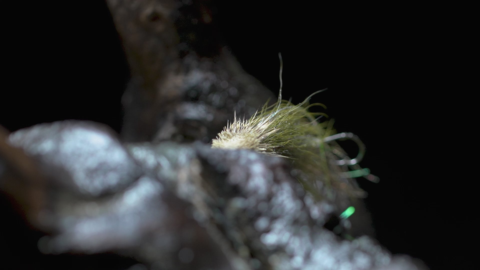 Blue Line Co – BlueLineCo.