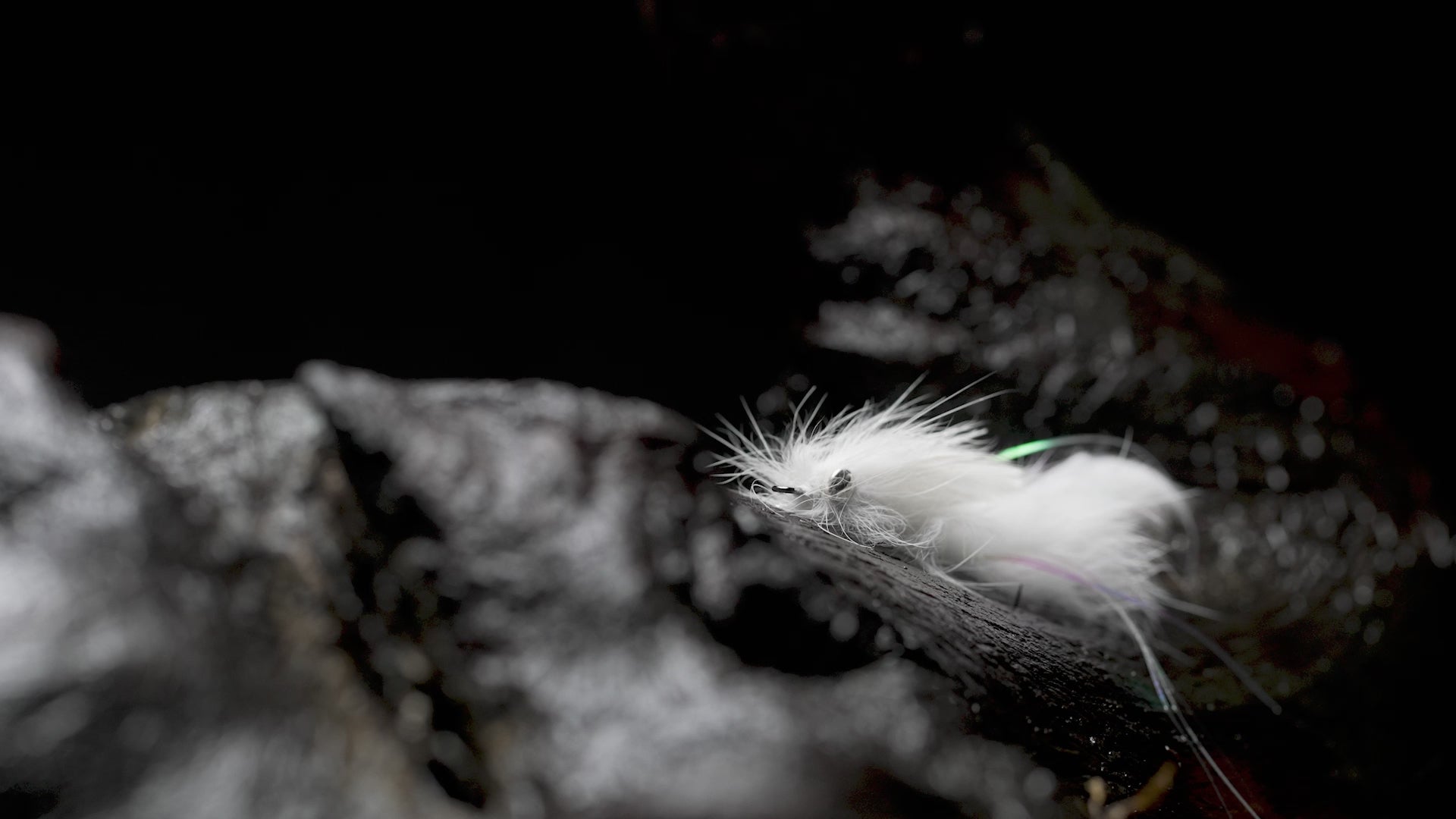 Blue Line Co – BlueLineCo.