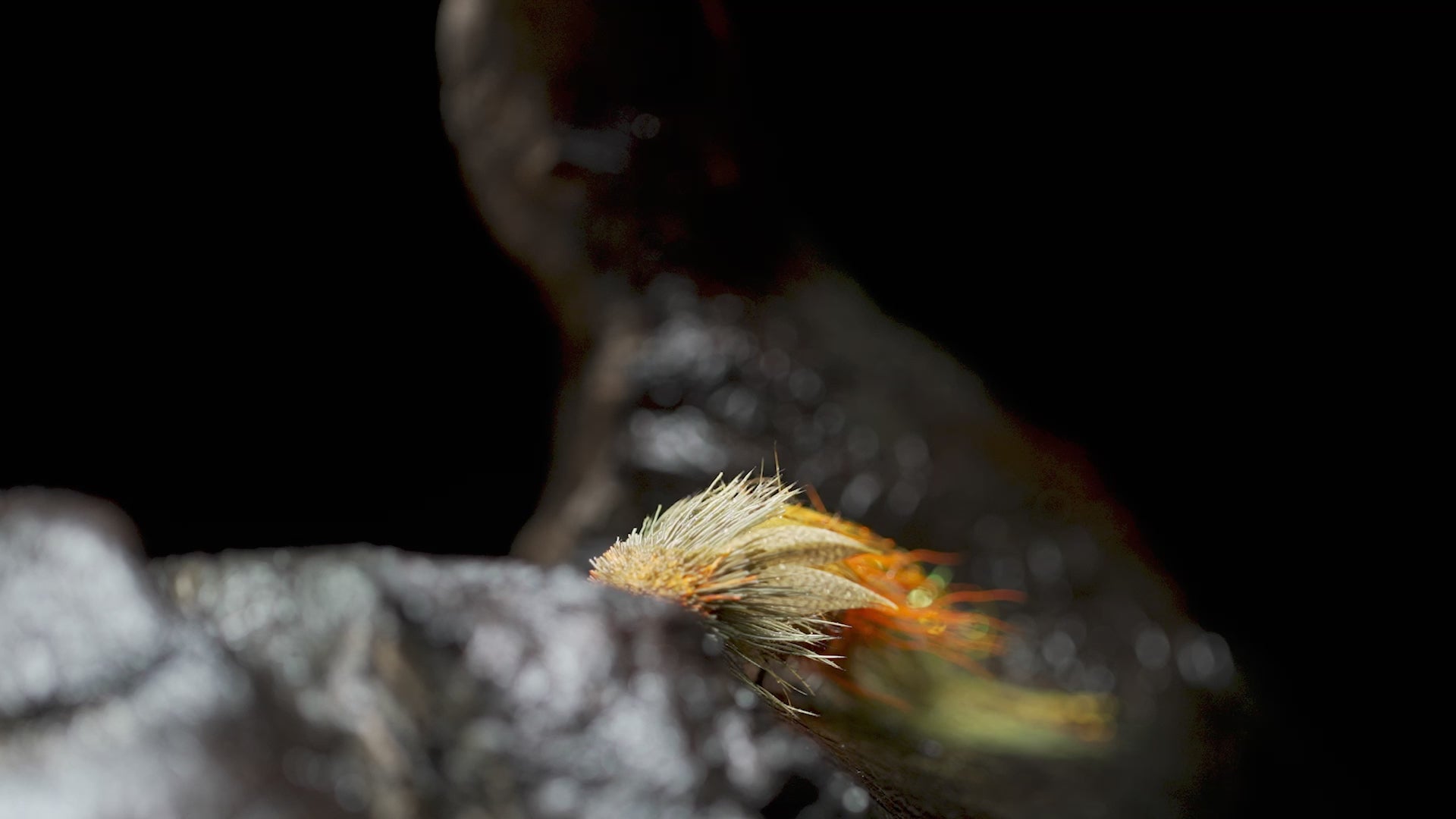 Blue Line Co – BlueLineCo.